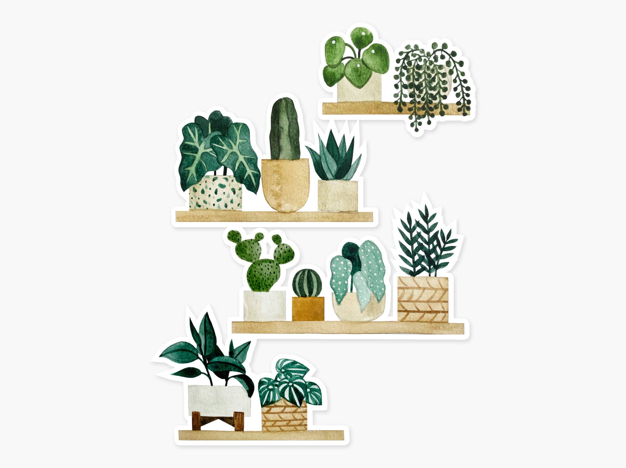 Plant Shelf Clear Sticker – Burrow & Vine
