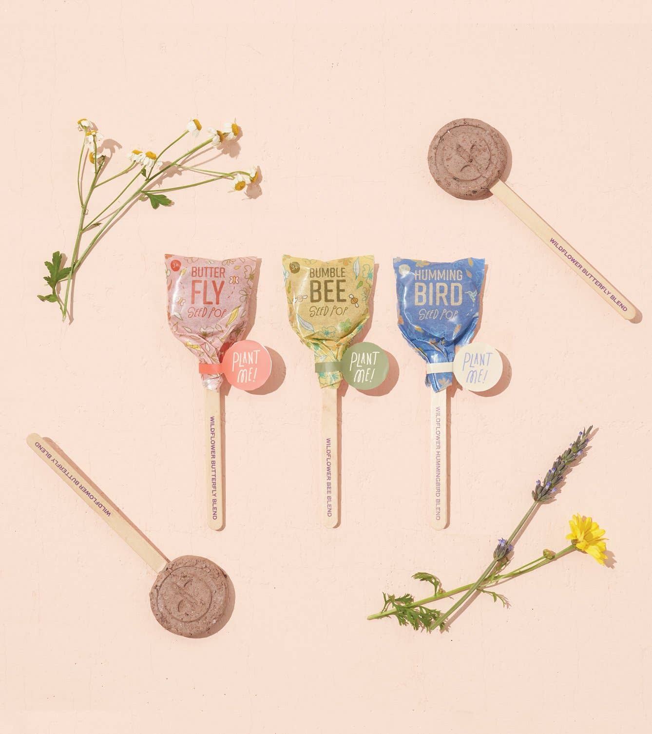 Seed Pop - Butterfly – Burrow & Vine