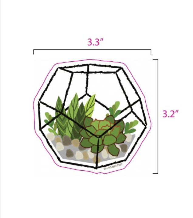 Transparent Terrarium Sticker – Burrow & Vine