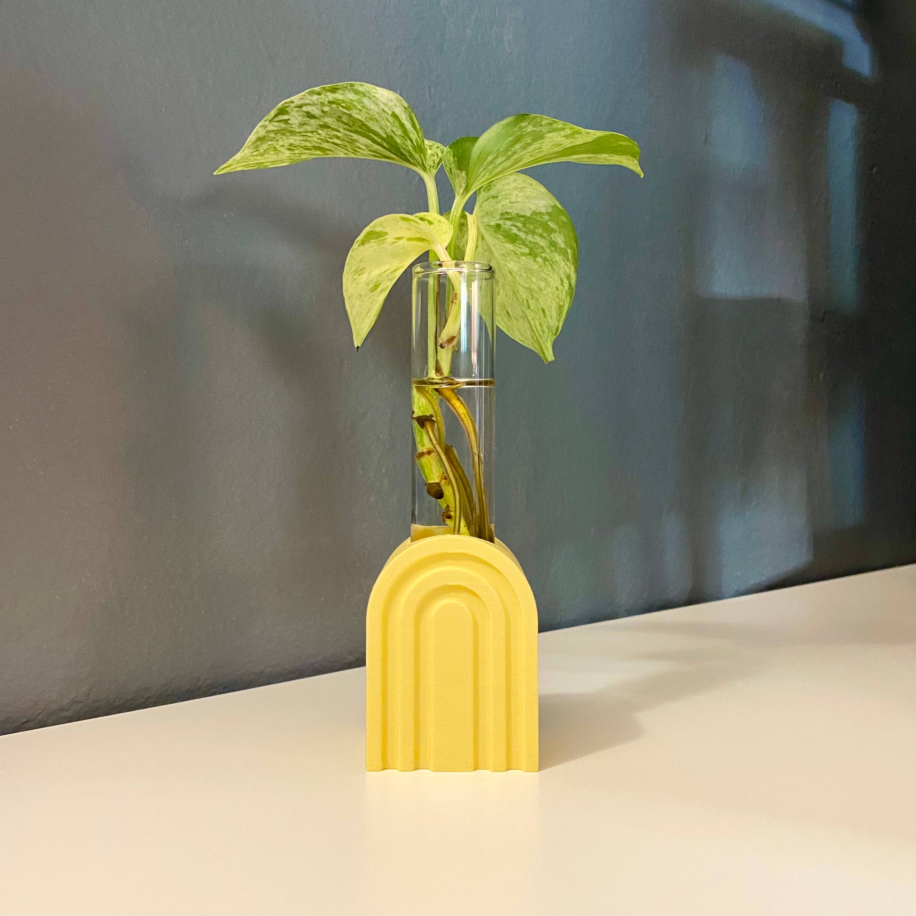 Archie Propagation Stand, 3D Printed Propagation Station – Burrow & Vine