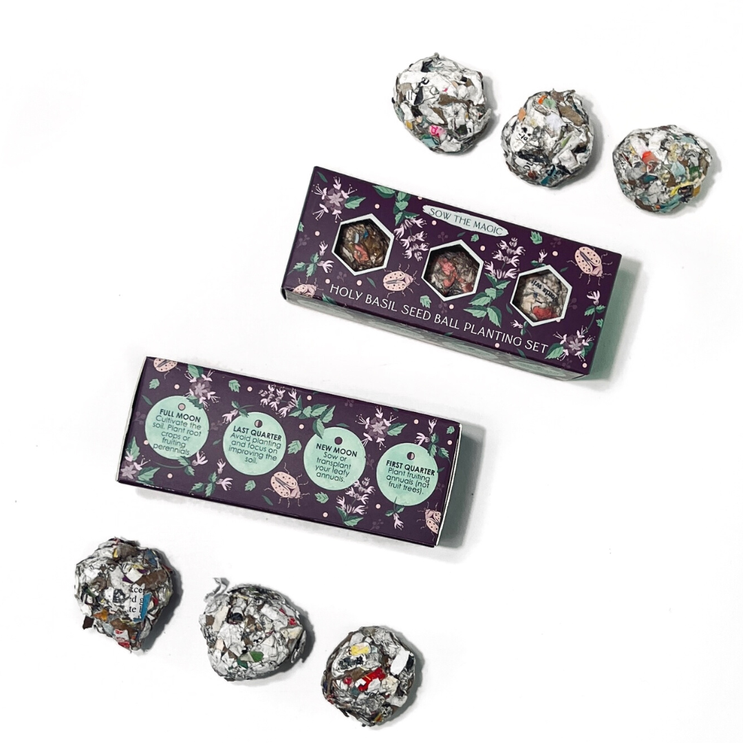 Protection (Holy Basil) Mini Seed Ball Gift Box Set – Burrow & Vine