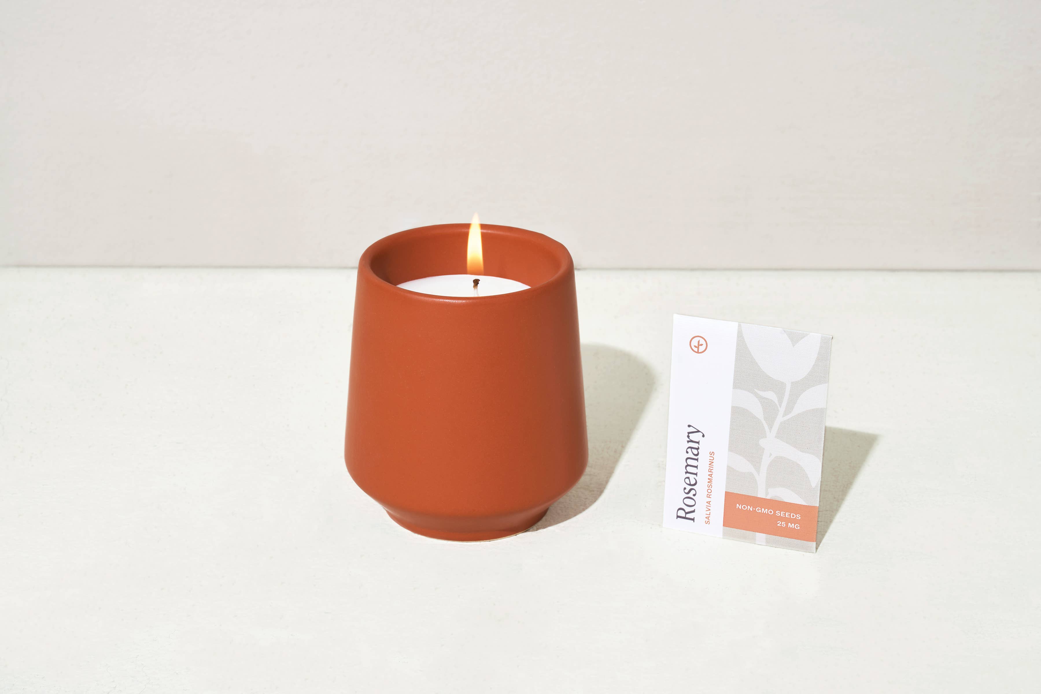 Rooted Candle - Rosemary & Cedar – Burrow & Vine