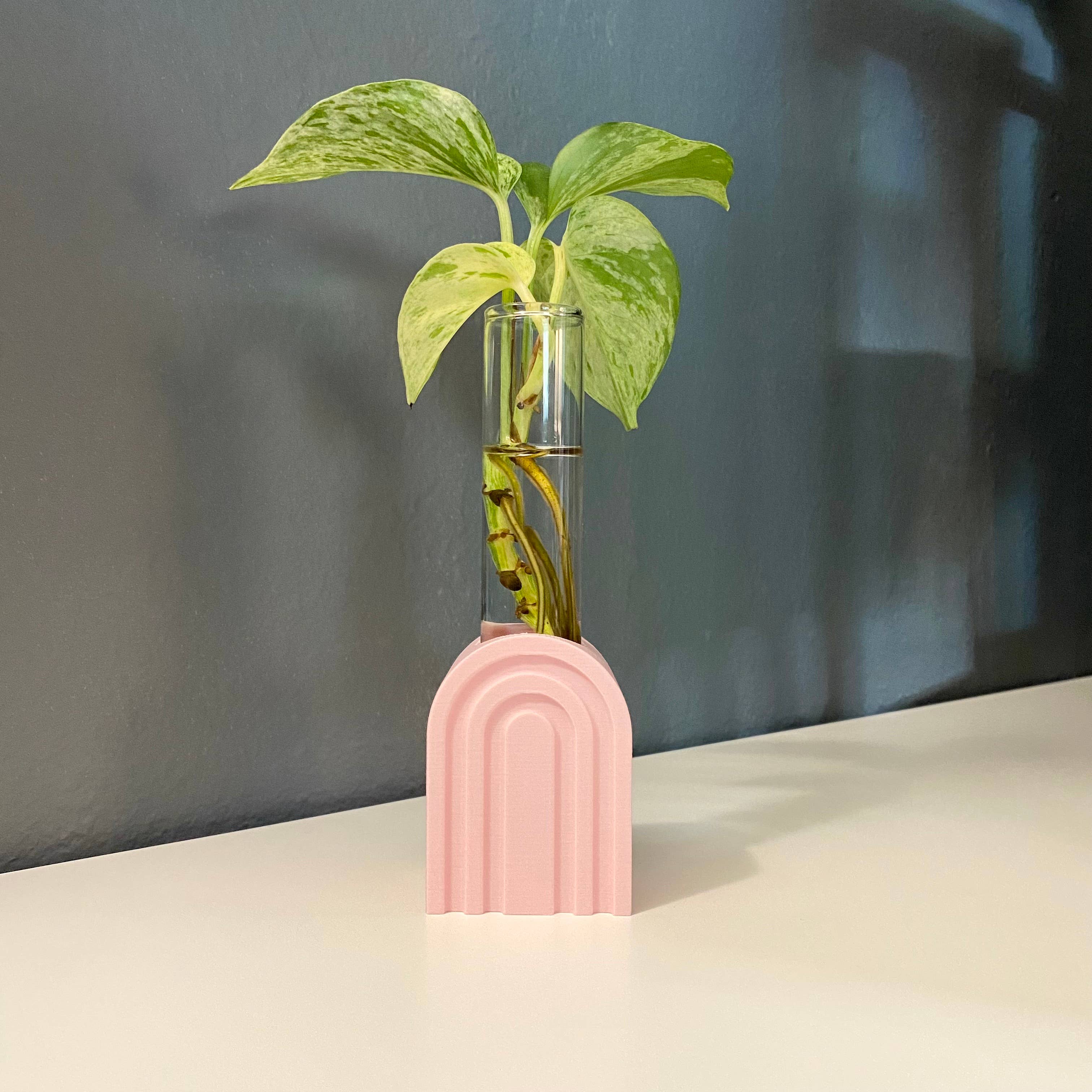 Archie Propagation Stand, 3D Printed Propagation Station – Burrow & Vine