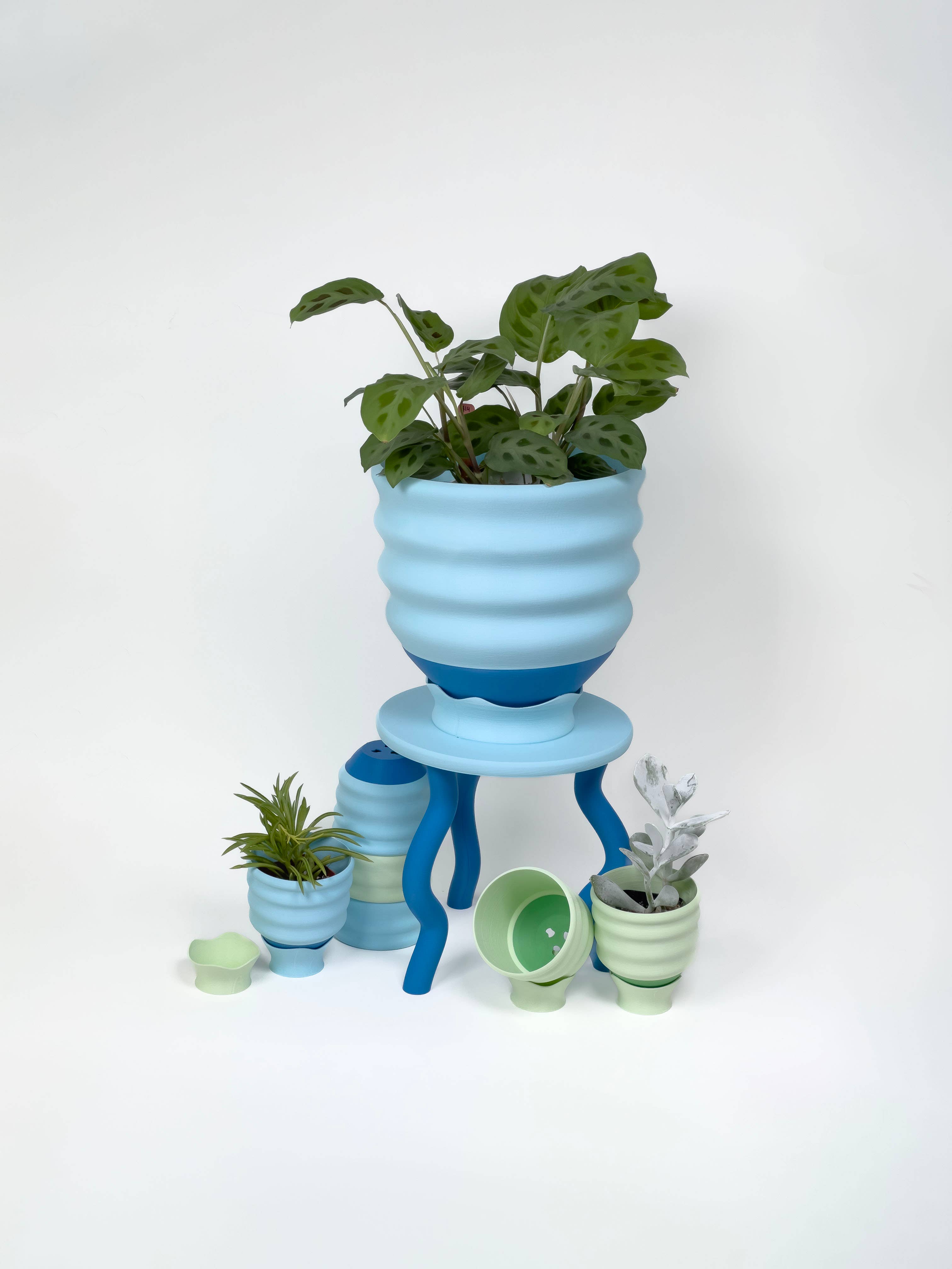 Wavy Plant Stand (3 colorways): Swimming Pool Blues – Burrow & Vine