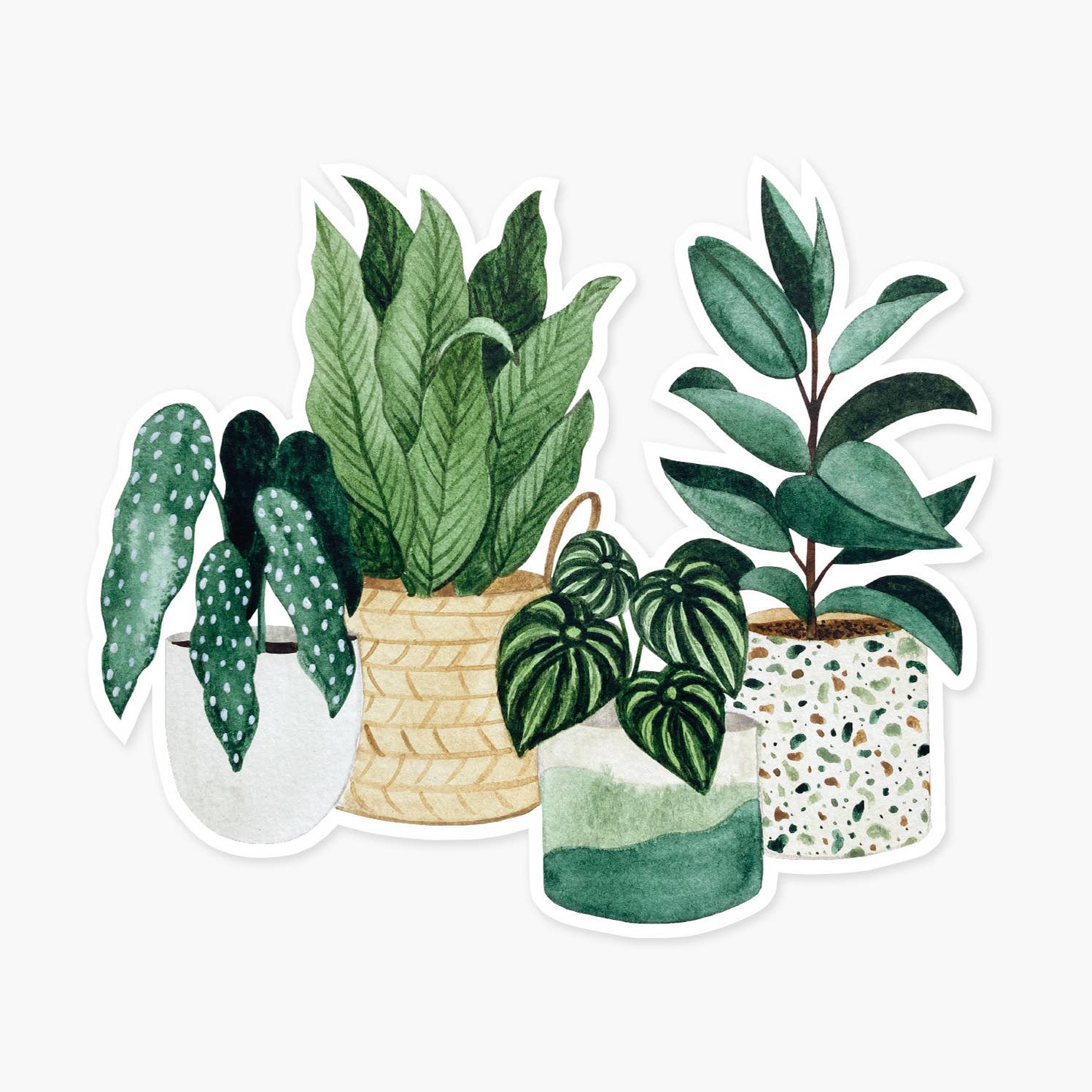 Potted Plants Clear Sticker – Burrow & Vine