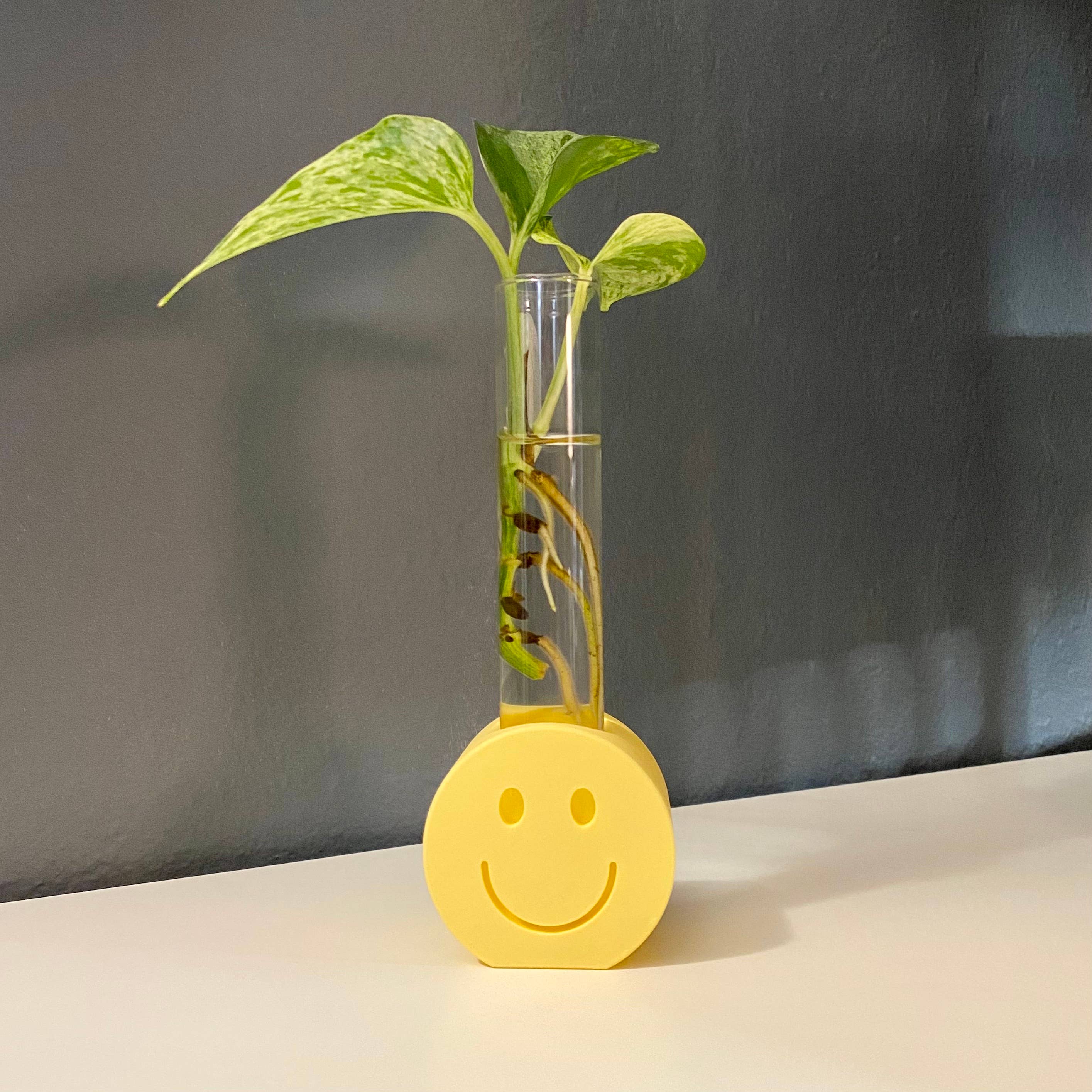 3D Printed Smiley Propagation Station, Propagation Stand – Burrow & Vine