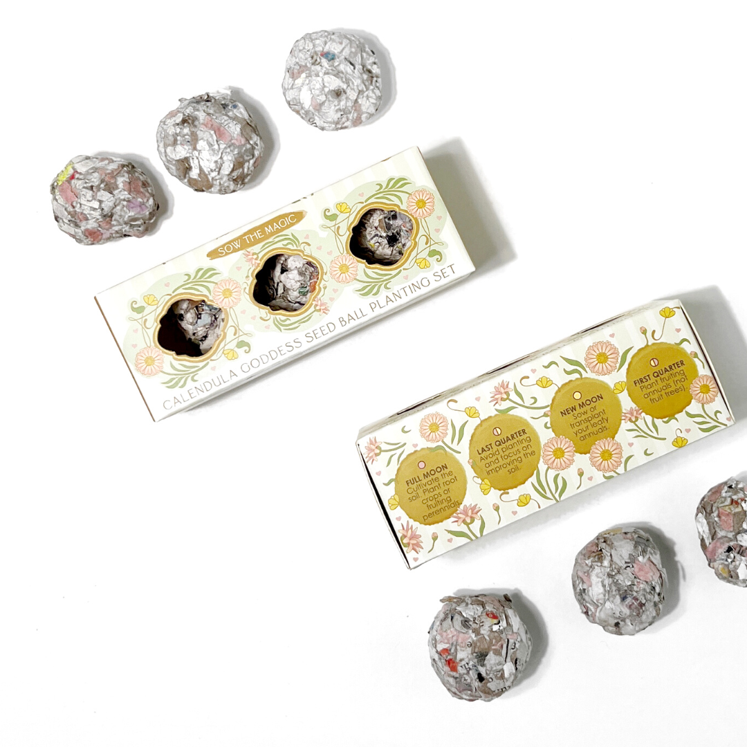 Calendula Goddess Mini Seed Ball Gift Box Set – Burrow & Vine